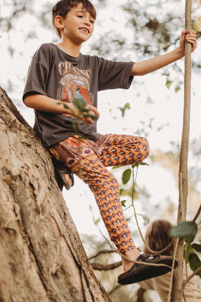 Harems - Aura Dragon – Chasing Rivers